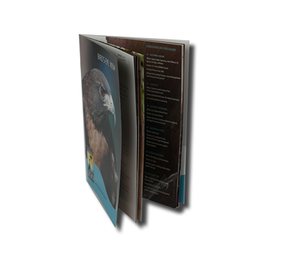 Stitched Inserts for Presentation / Pocket Folders | Presentation ...